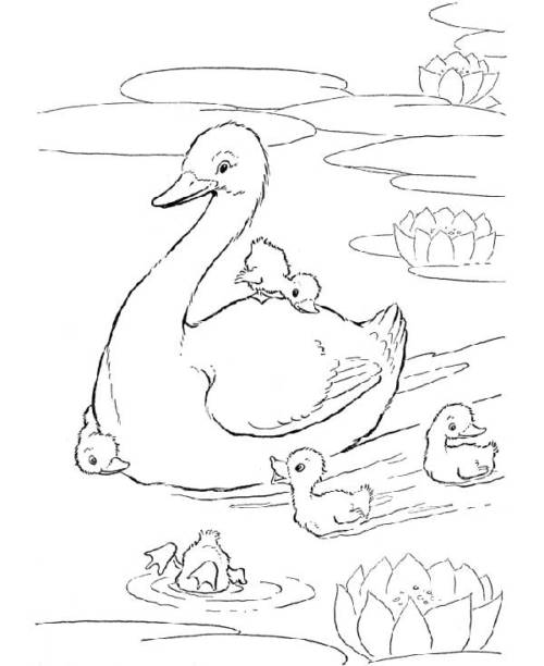25+ Desenhos de Lago para Imprimir e Colorir/Pintar