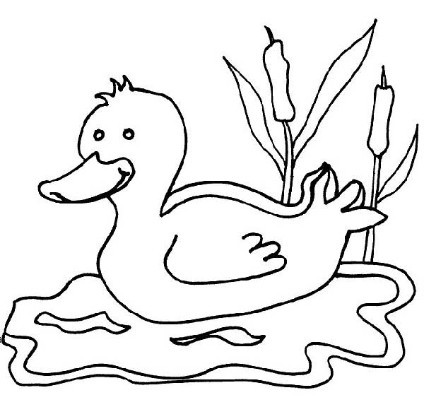 25+ Desenhos de Lago para Imprimir e Colorir/Pintar