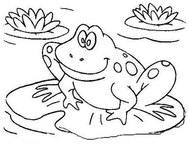 25+ Desenhos de Lago para Imprimir e Colorir/Pintar