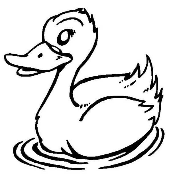 25+ Desenhos de Lago para Imprimir e Colorir/Pintar