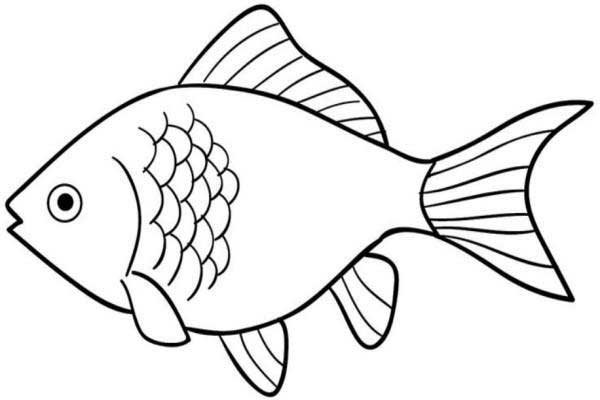 25+ Desenhos de Lago para Imprimir e Colorir/Pintar