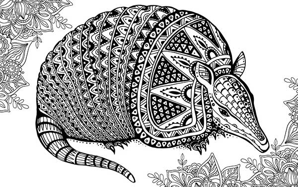 47+ Desenhos de Tatu para Imprimir e Colorir/Pintar