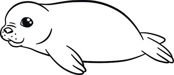 150+ Desenhos de Foca para Imprimir e Colorir/Pintar