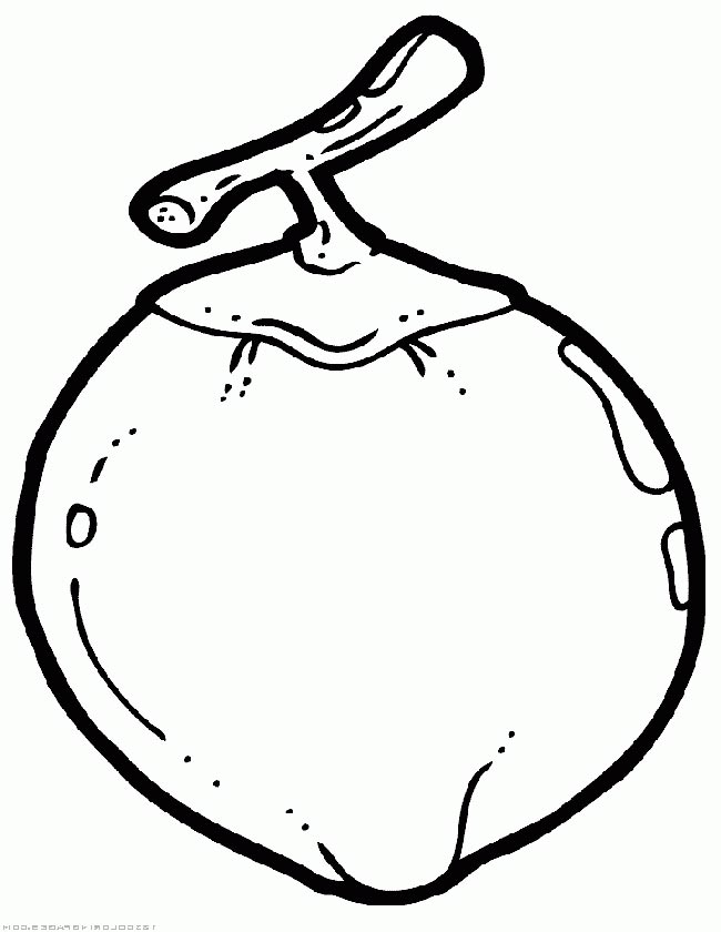 55+ Desenhos de Coco para Imprimir e Colorir/Pintar