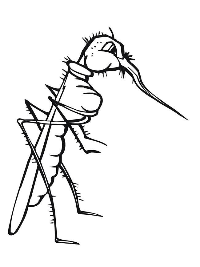 25+ Desenhos de Mosca → Imprimir e Colorir (Moldes)