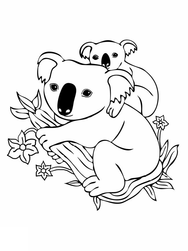 55+ Desenhos de Koala para Imprimir e Colorir/Pintar