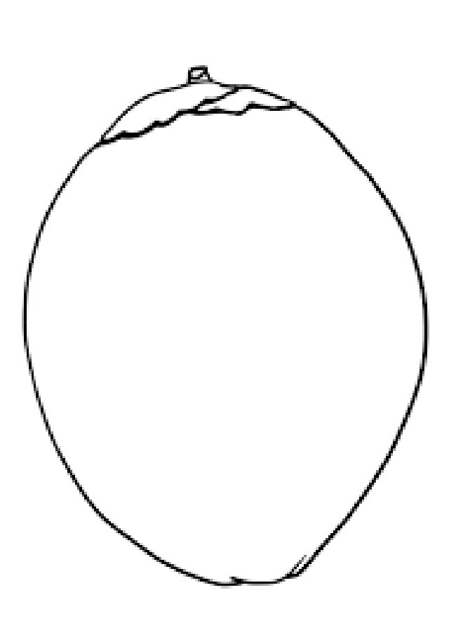 55+ Desenhos de Coco para Imprimir e Colorir/Pintar