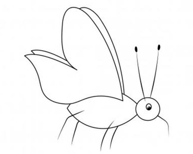 25+ Desenhos de Mosca → Imprimir e Colorir (Moldes)