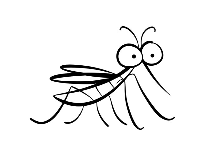 25+ Desenhos de Mosca → Imprimir e Colorir (Moldes)