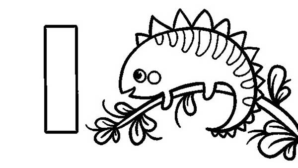 33+ Desenhos de Letra I: Atividades, Moldes e Figuras de Alfabetização