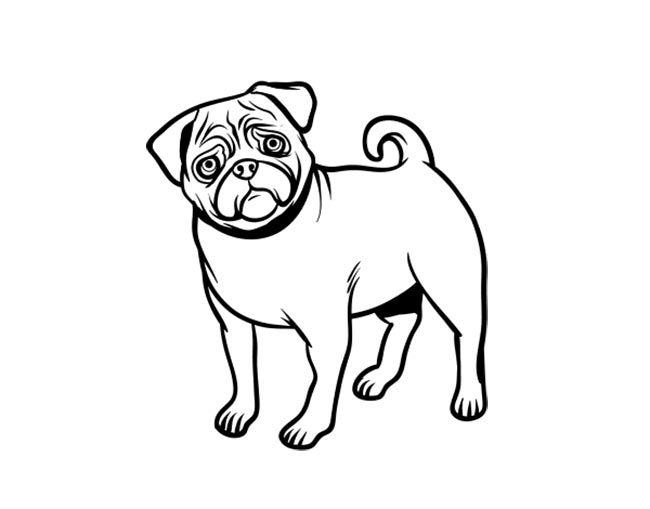 25+ Desenhos de Pug para Imprimir e Colorir / Pintar