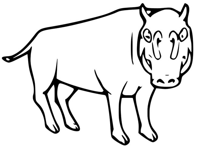 27+ Desenhos de Javali para Imprimir e Colorir/Pintar