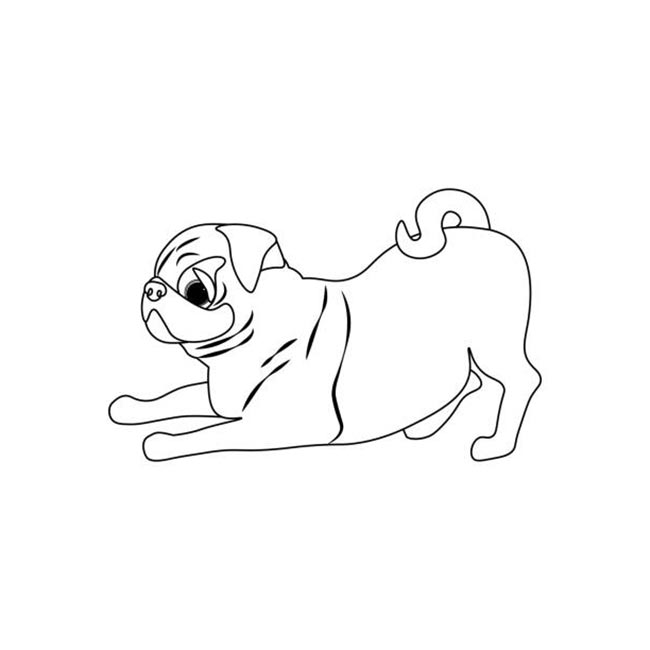 25+ Desenhos de Pug para Imprimir e Colorir / Pintar