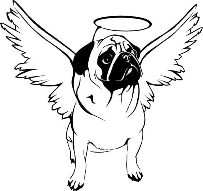 25+ Desenhos de Pug para Imprimir e Colorir / Pintar