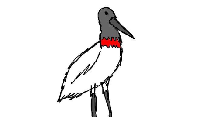 15+ Desenhos de Tuiuiú para Imprimir e Colorir/Pintar