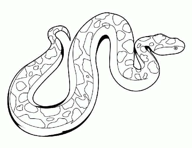 23+ Desenhos de Jiboia (Cobra) para Imprimir e Colorir/Pintar