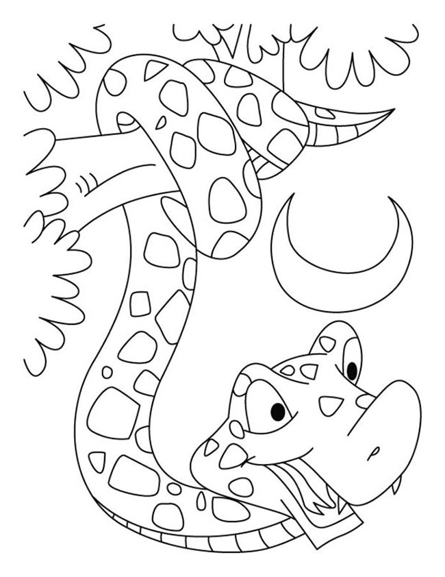 23+ Desenhos de Jiboia (Cobra) para Imprimir e Colorir/Pintar