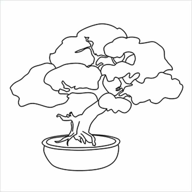 25+ Desenhos de Bonsai para Imprimir e Colorir/Pintar