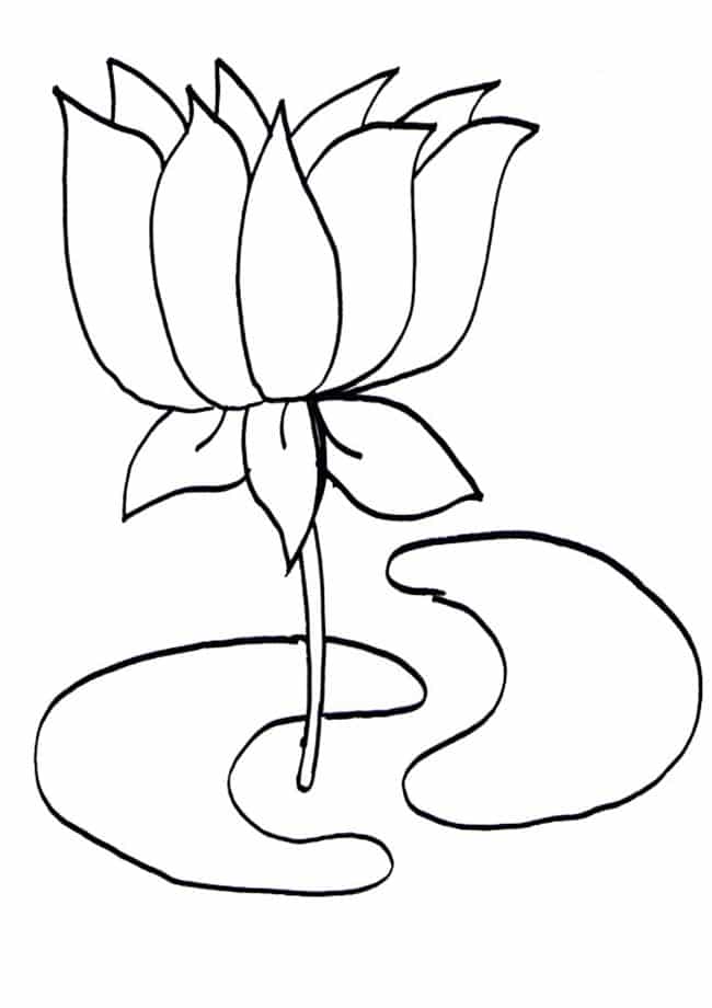 21+ Desenhos da Flor de Lótus para Imprimir e Colorir/Pintar