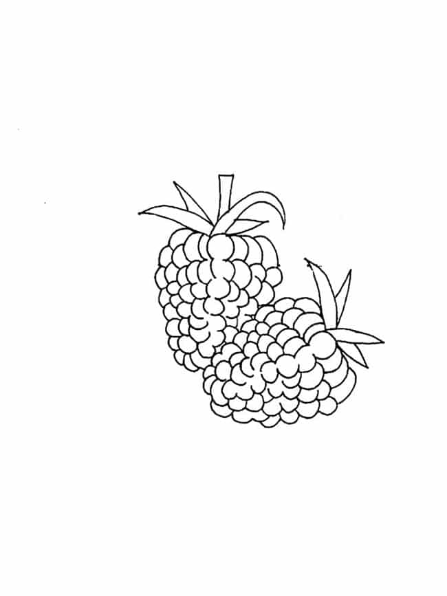 Colorir Colorare Amoras Lamponi Colorear Raspberry Disegni Frambuesas ...
