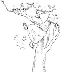 21+ Desenhos de Zaqueu (Bíblia) para Imprimir e Colorir/Pintar