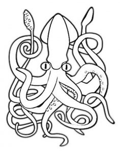 25+ Desenhos de Lula (Animal) para Imprimir e Colorir/Pintar