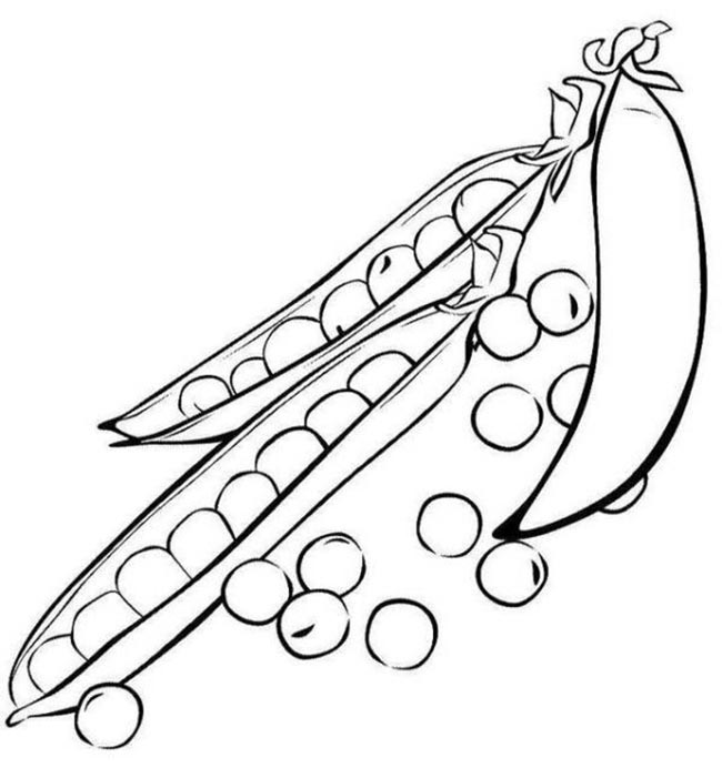 27+ Desenhos e Moldes de Ervilha → Imprimir e Colorir