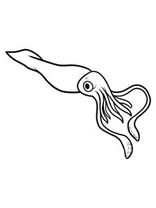 25+ Desenhos de Lula (Animal) para Imprimir e Colorir/Pintar