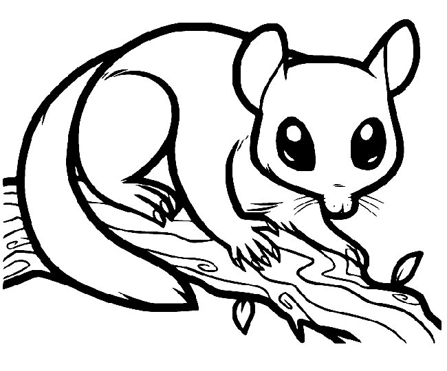 25+ Desenhos e Moldes de Gamba → Imprimir e Colorir