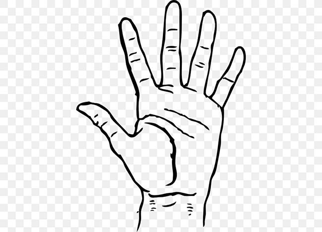 31+ Desenhos de Braço para Imprimir e Colorir/Pintar