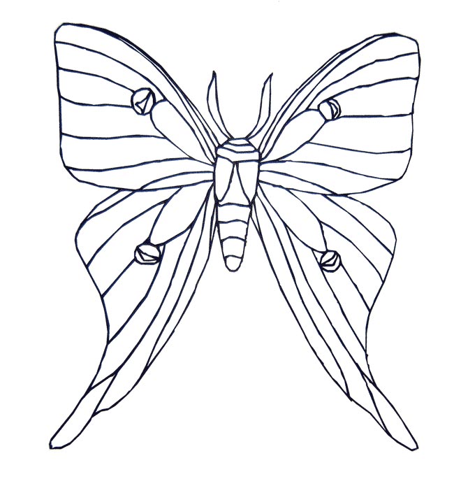27+ Desenhos de Mariposa para Imprimir e Colorir/Pintar