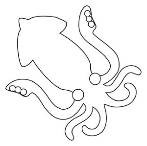 25+ Desenhos de Lula (Animal) para Imprimir e Colorir/Pintar