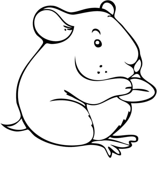 35+ Desenhos de Hamster para Imprimir e Colorir/Pintar