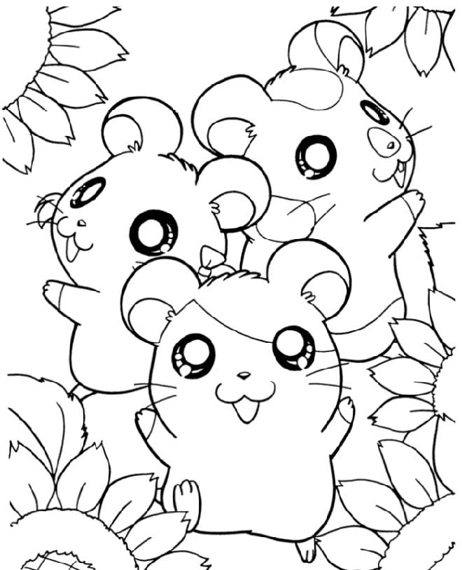 35+ Desenhos de Hamster para Imprimir e Colorir/Pintar