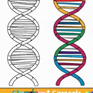 21+ Desenhos de DNA para Imprimir e Colorir/Pintar