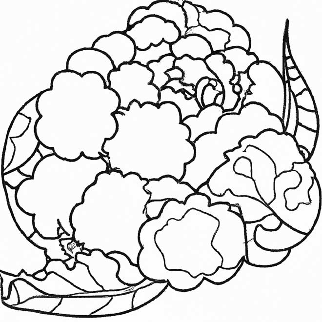 Flor Couve Chou Colorare Disegno Choux Cauliflower Coliflor ...