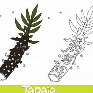 31+ Desenhos de Tapioca para Imprimir e Colorir/Pintar