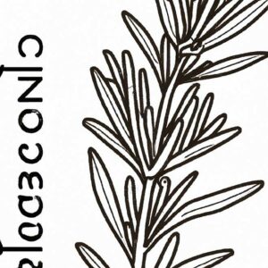 40+ Desenhos de Alecrim para Imprimir e Colorir/Pintar